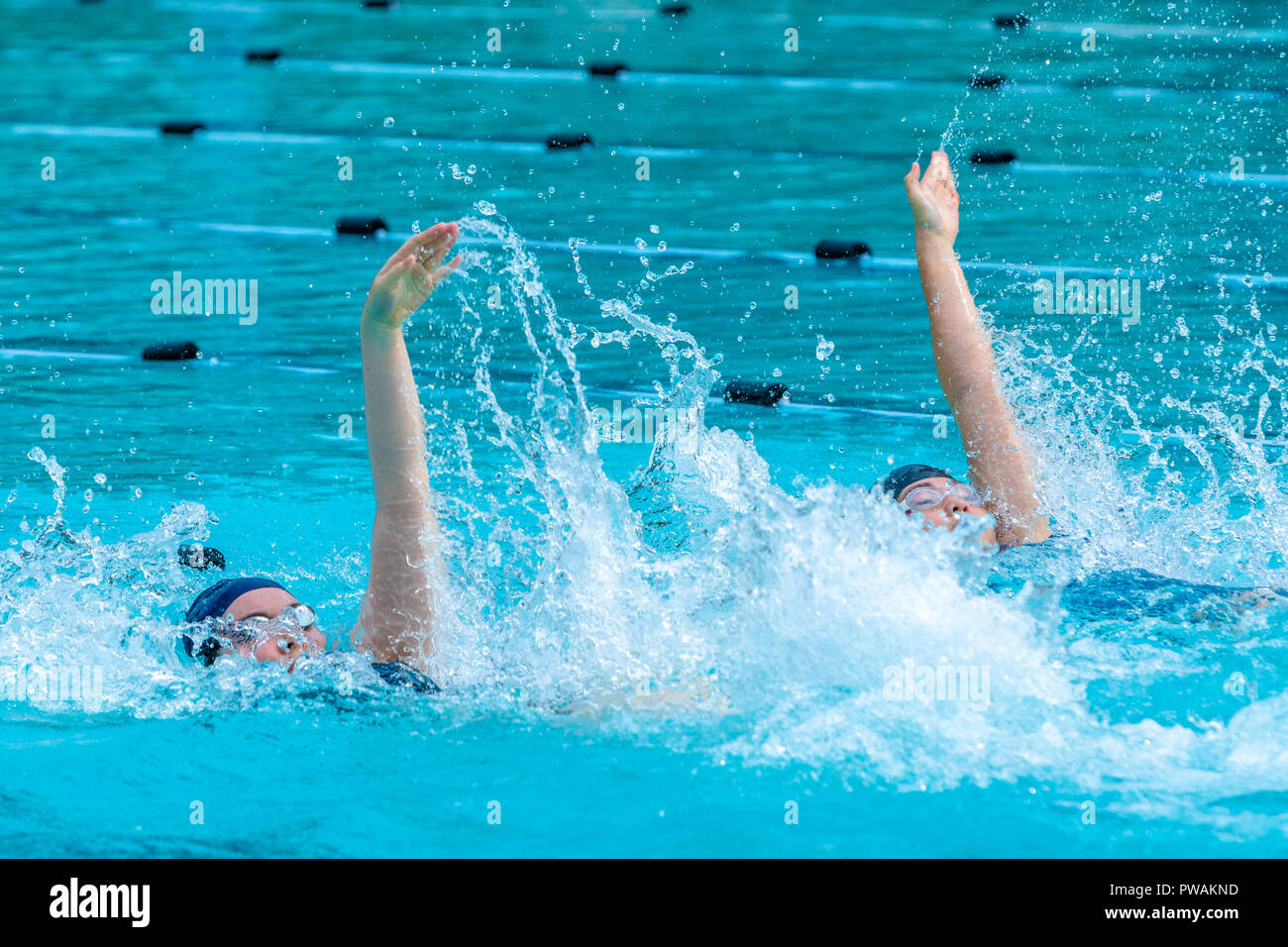 Female swimmers swimming back stroke at an outdoor swimming pool Stock ...