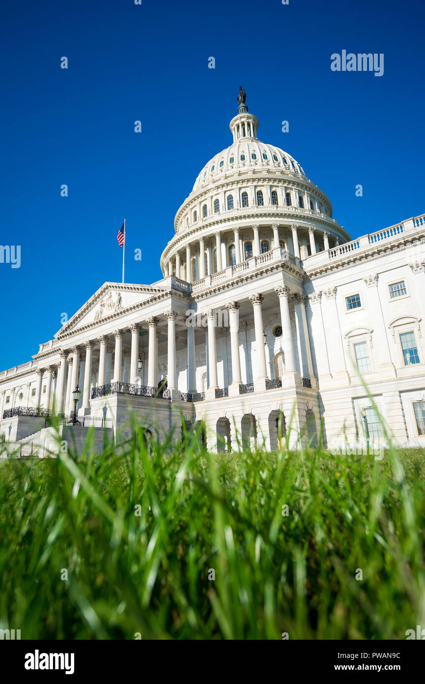 Congress grass hi-res stock photography and images - Alamy