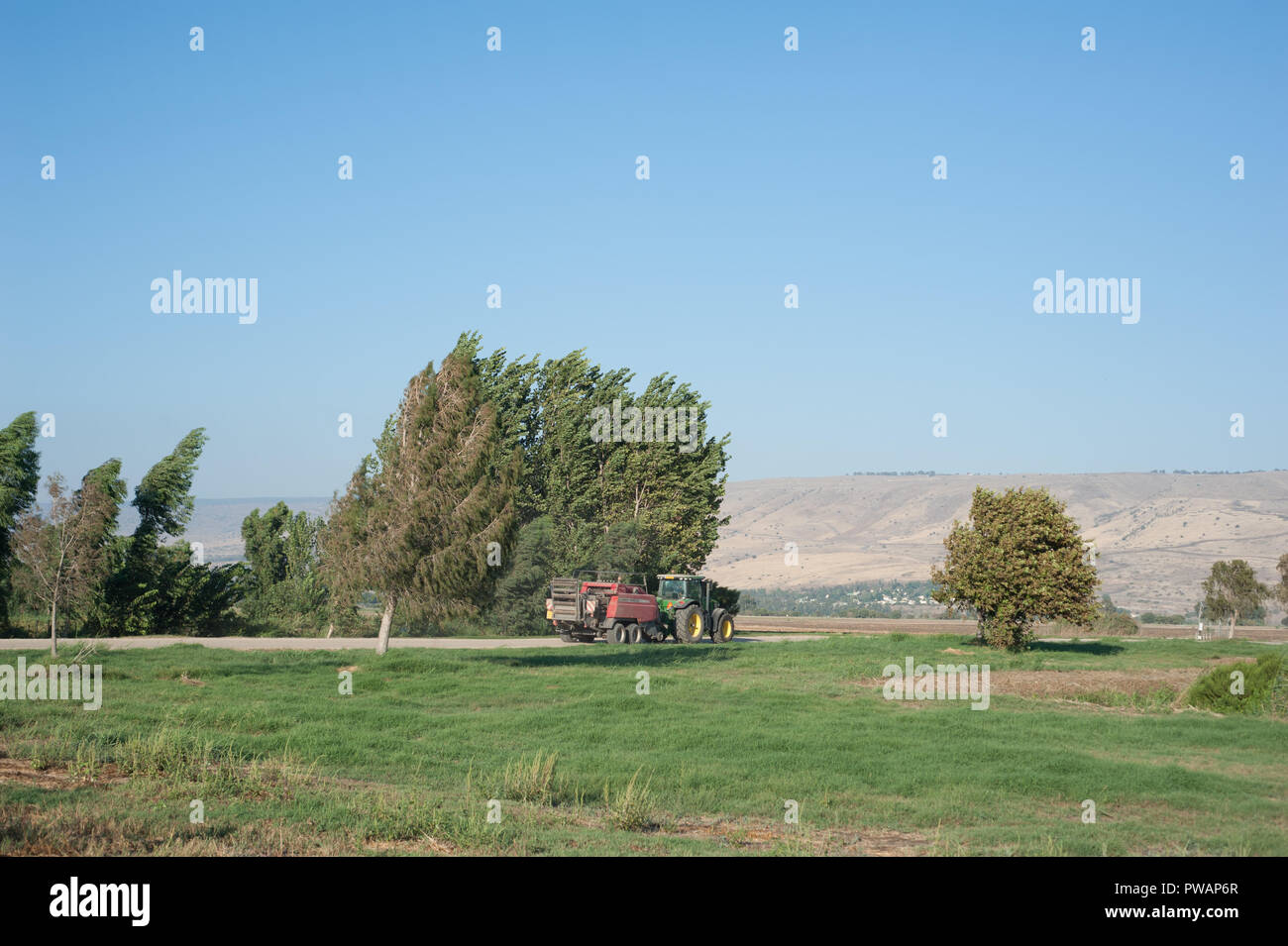 typical landscape of Hula valley Stock Photo - Alamy