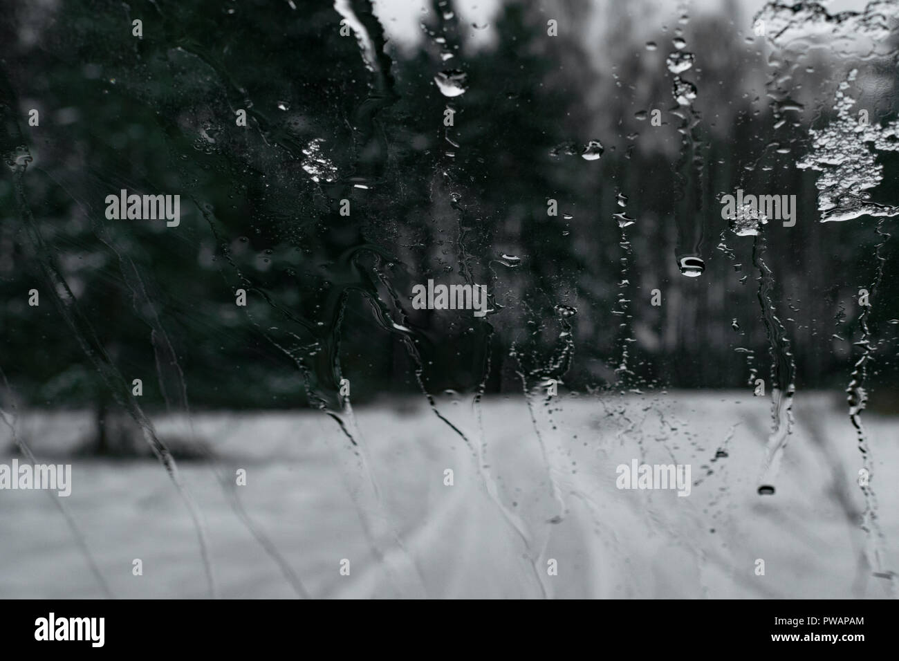 Rain drops on glass window, with background of forest in winter Stock ...