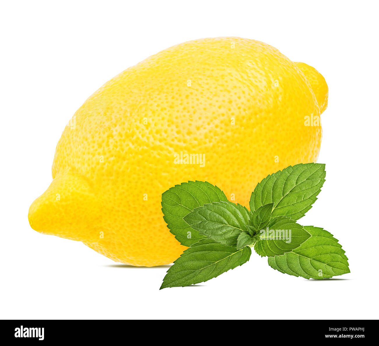 Fresh mint leaf and lemon isolated on white background Stock Photo - Alamy