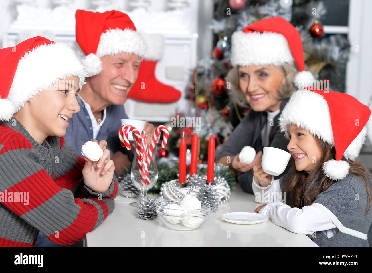 Portrait of a family celebrating Christmas together Stock Photo - Alamy