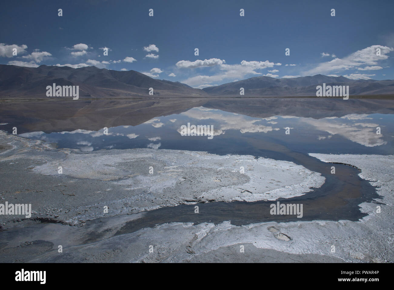 Reflections and salt deposits, Tso Kar Lake, Ladakh, India Stock Photo ...