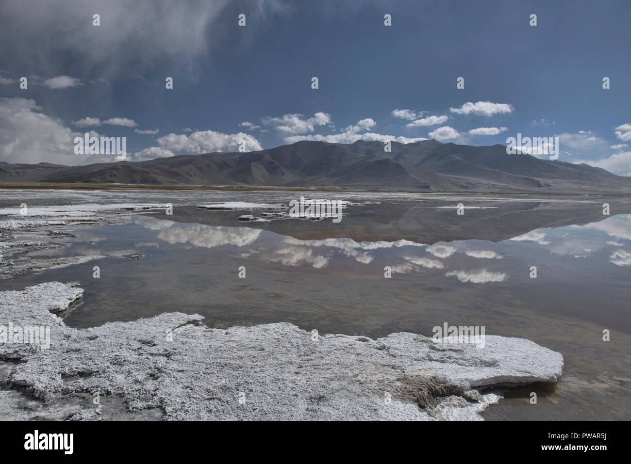 Reflections and salt deposits, Tso Kar Lake, Ladakh, India Stock Photo ...