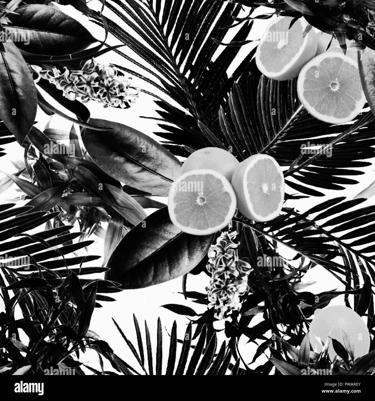 Tropical leaves and flowers Black and White Stock Photos & Images - Alamy