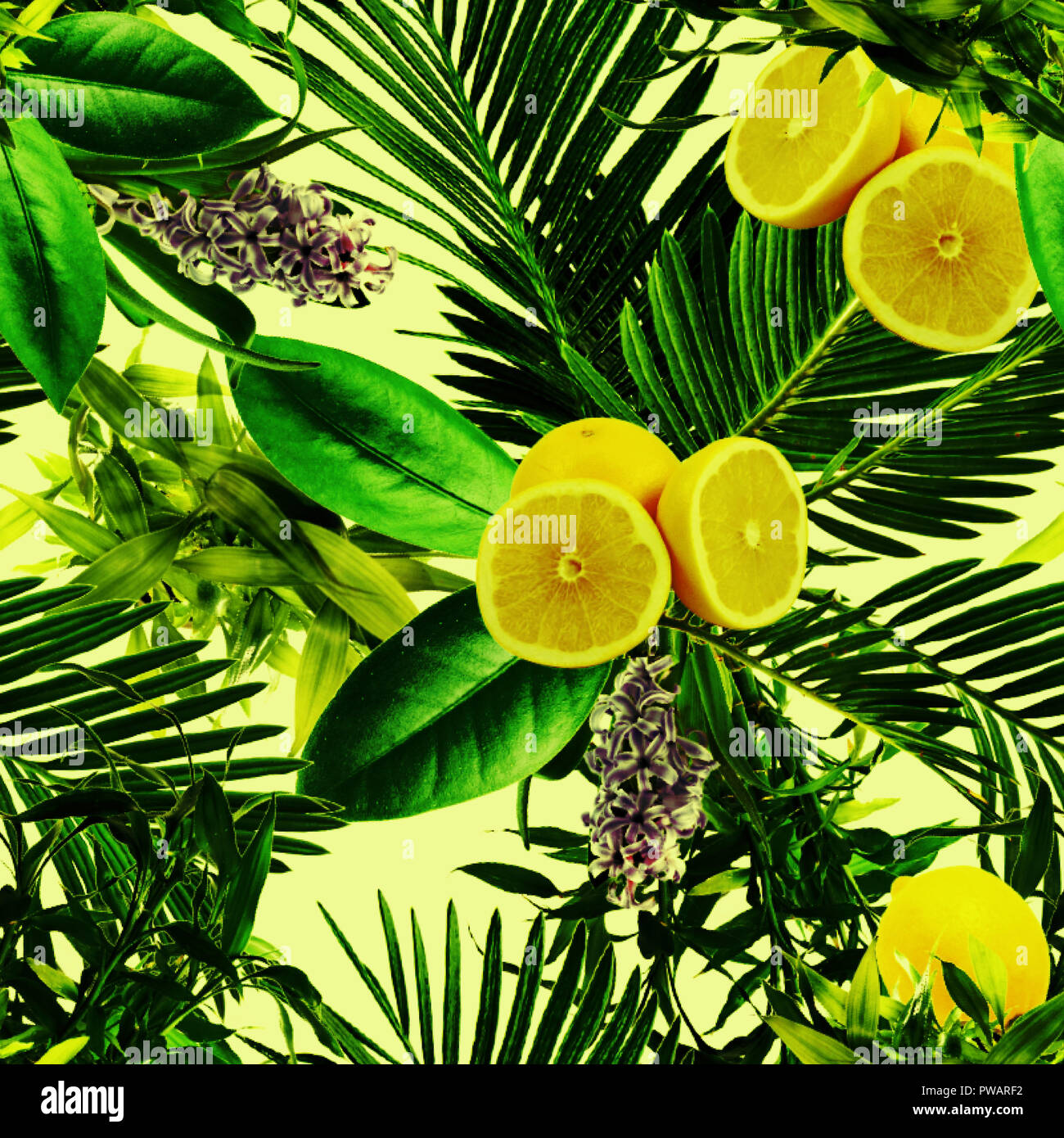 Stylish botanical pattern hi-res stock photography and images - Alamy