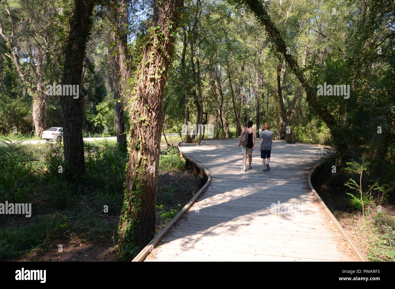 wooden cycle and walking elevated paths through the lagoon at divjake ...