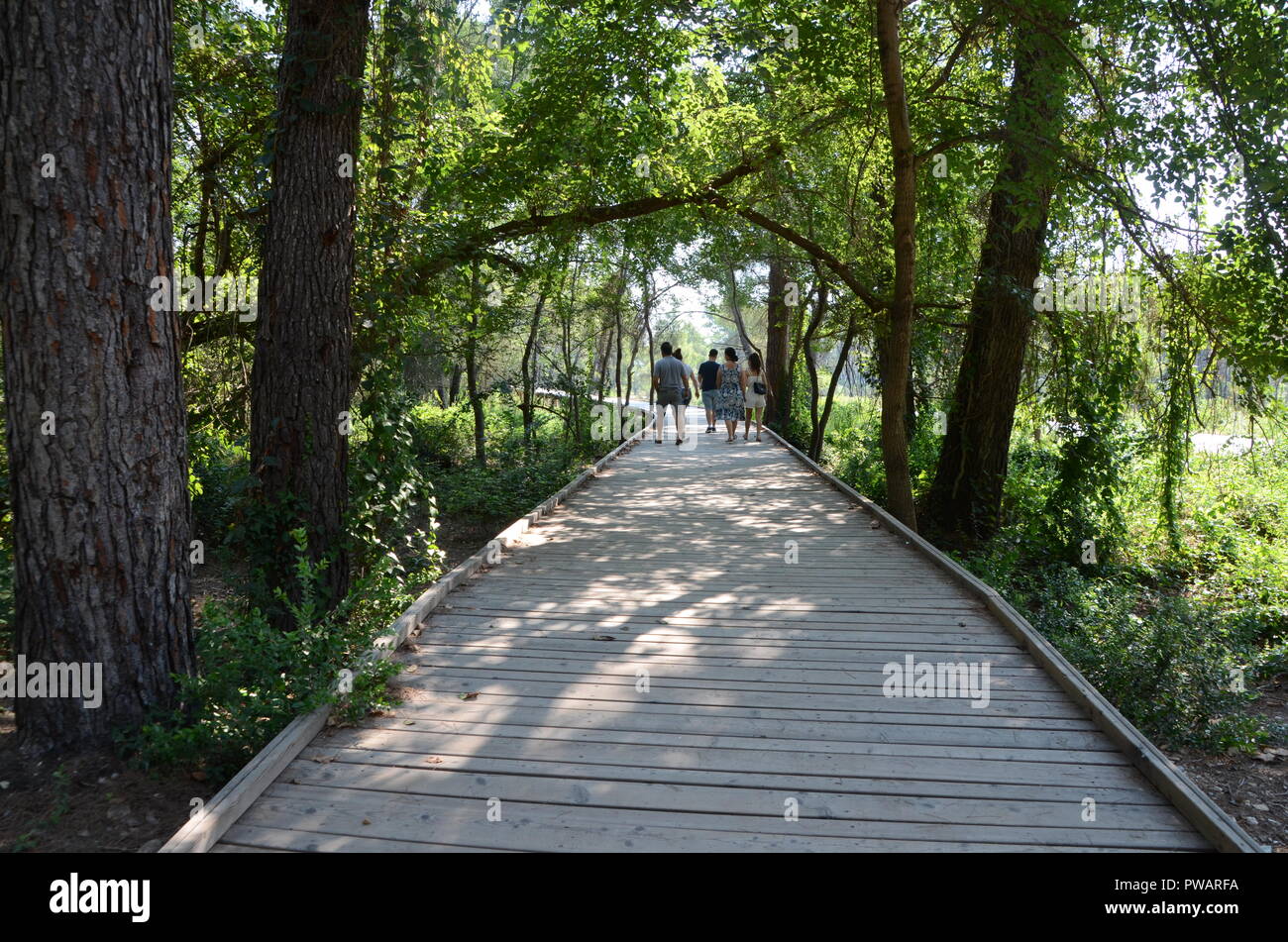 wooden cycle and walking elevated paths through the lagoon at divjake ...