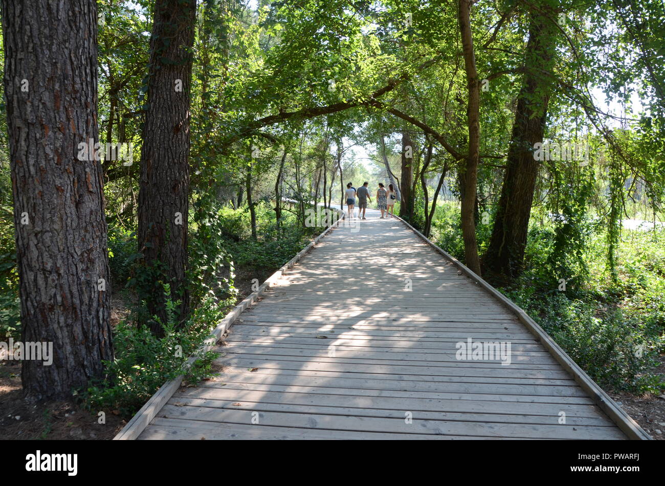 Divjake karavasta national park hi-res stock photography and images - Alamy