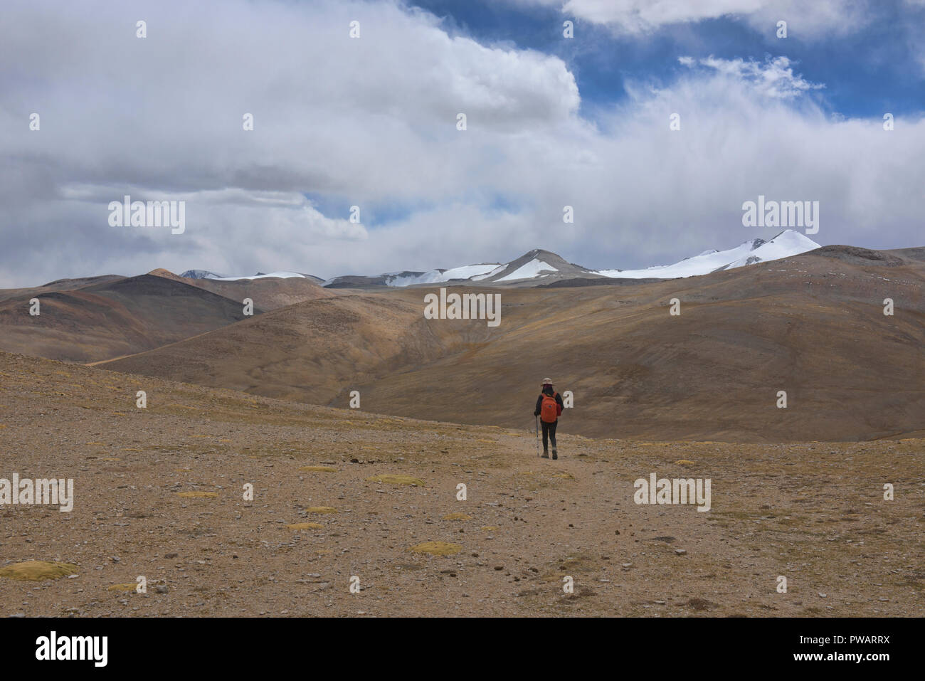 Trekking the high barren plateau and passes of the Changthang enroute ...