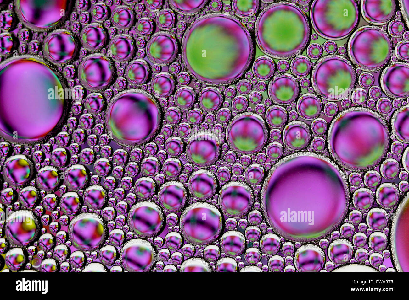 Abstract oil droplets / bubbles in water lit from underneath over a ...