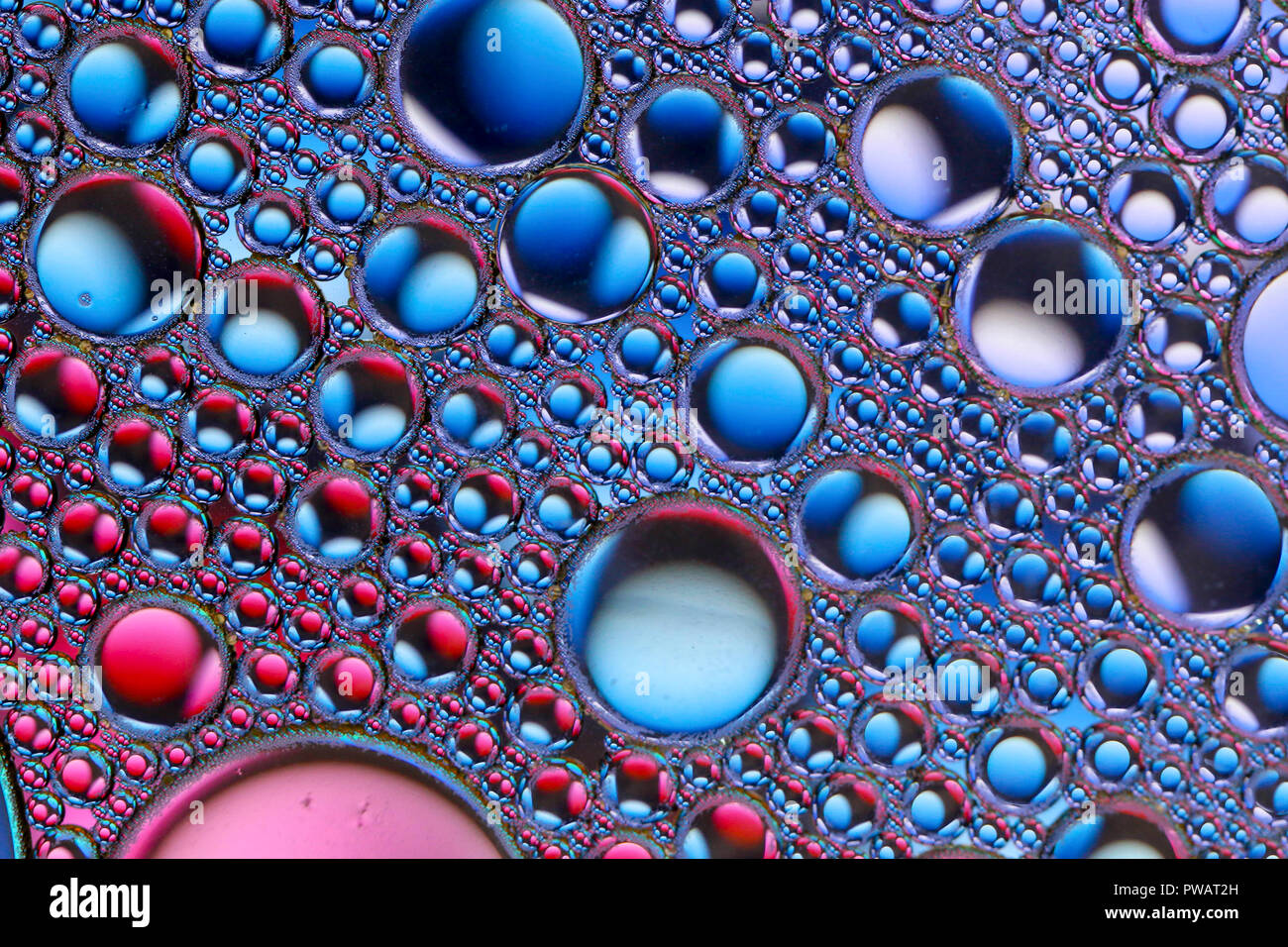 Oil Droplets In Water