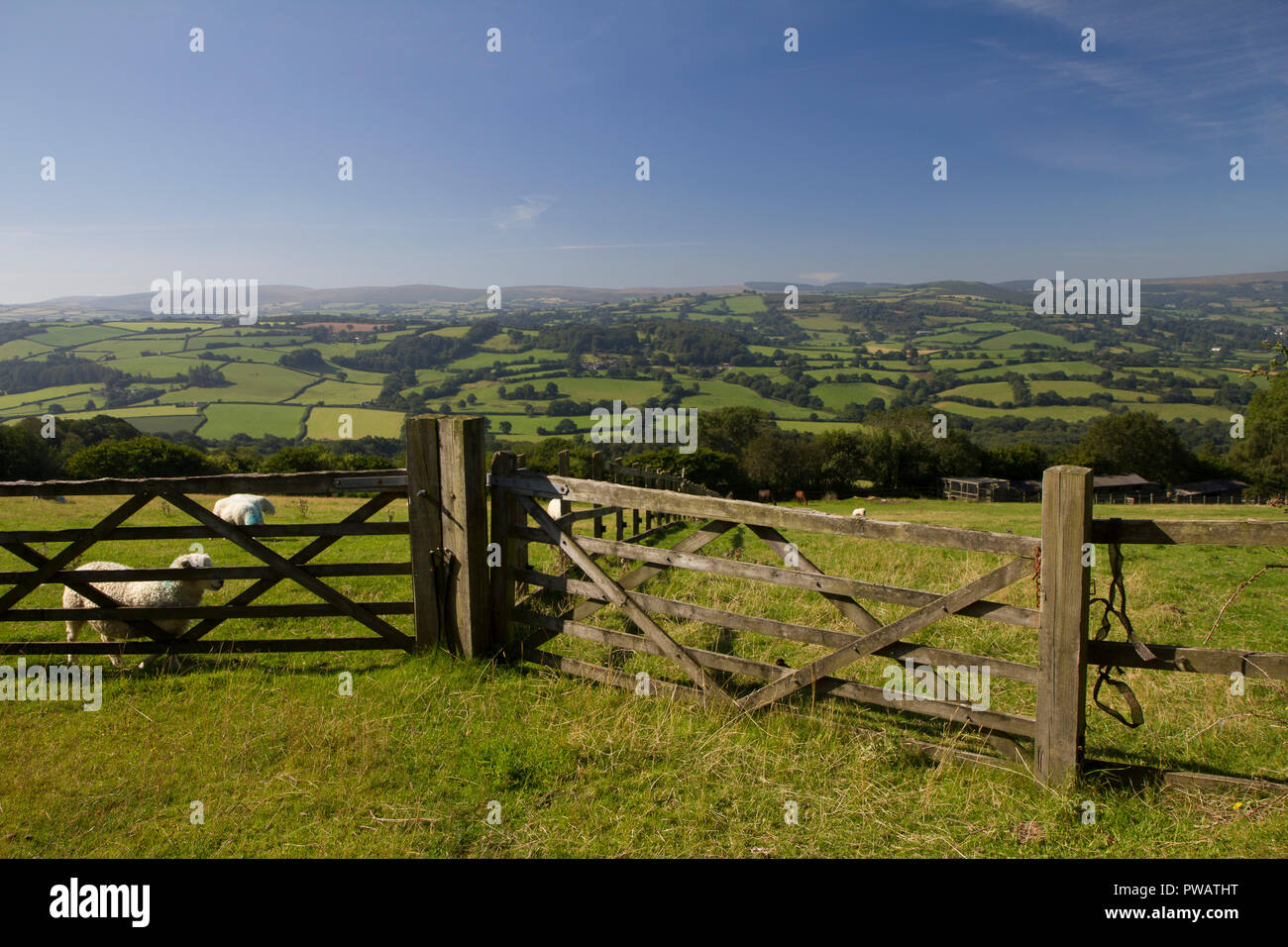 South devon fields hi-res stock photography and images - Alamy