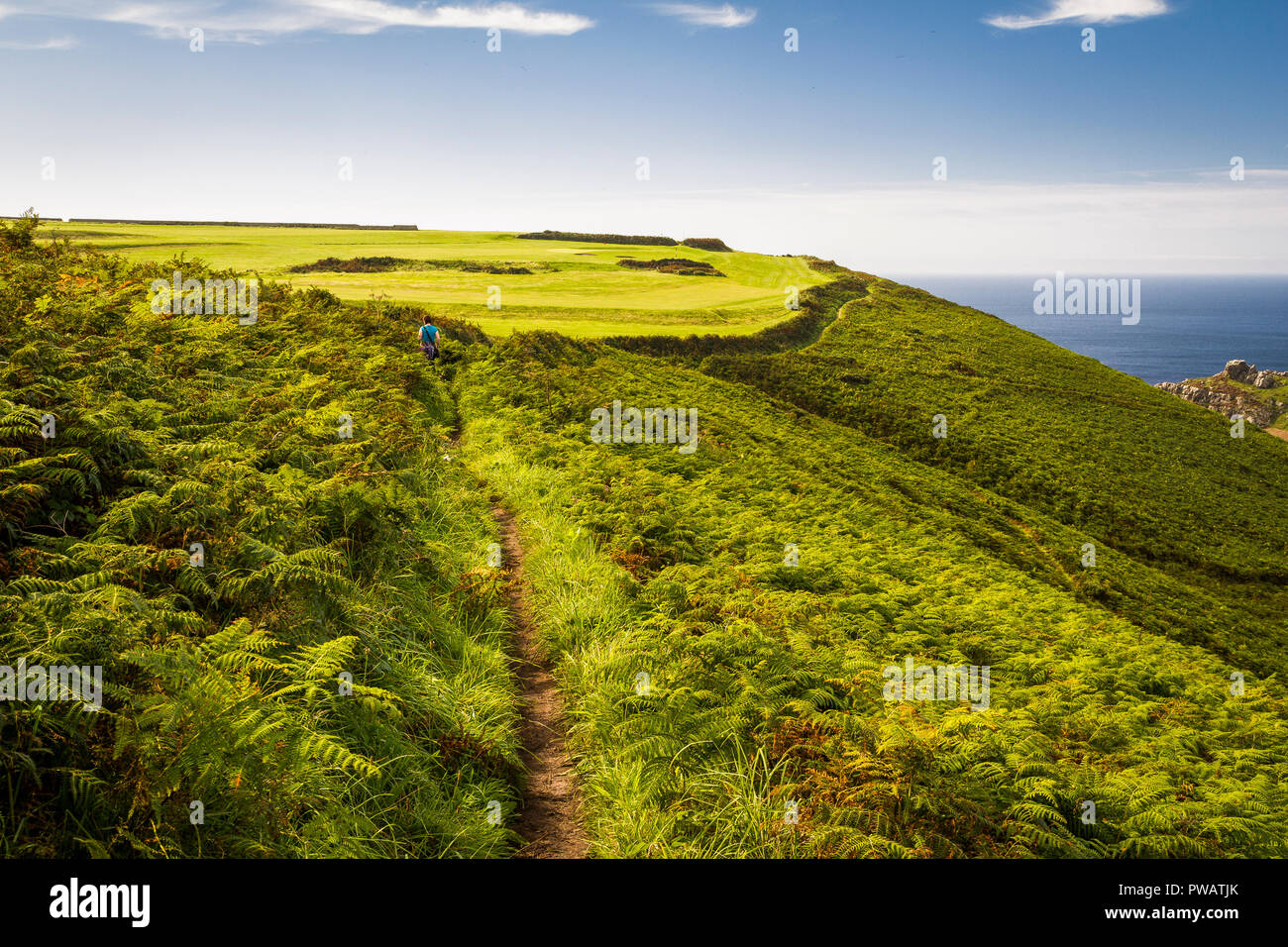 Cornwall coastal path hi-res stock photography and images - Alamy