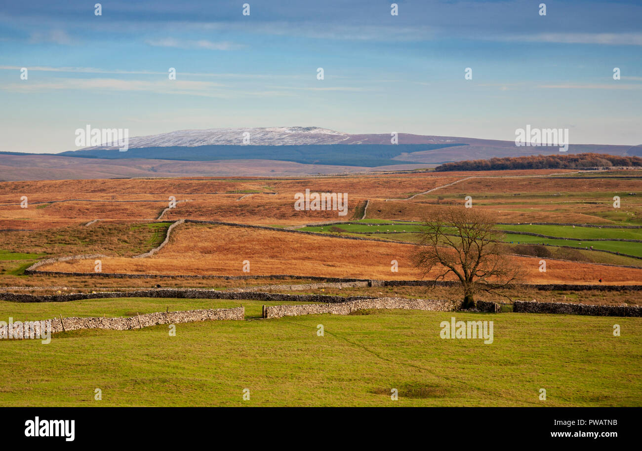 Landscape view in the Yorkshire Dales near Ribblehead, Yorkshire ...