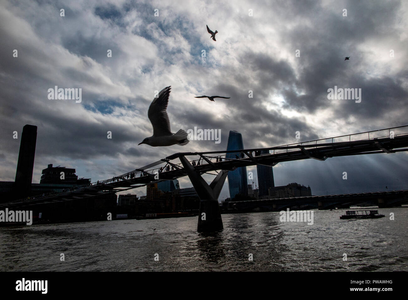 Pigeons roosting bridge hi-res stock photography and images - Alamy