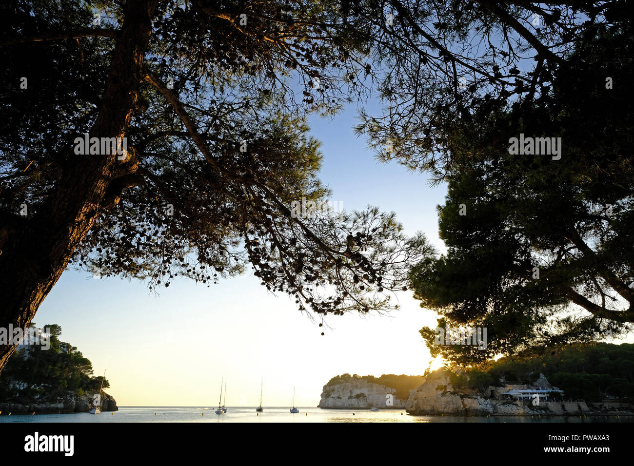 Trees on the beach in silhouette at sunset Cala Galdana Menorca Stock ...