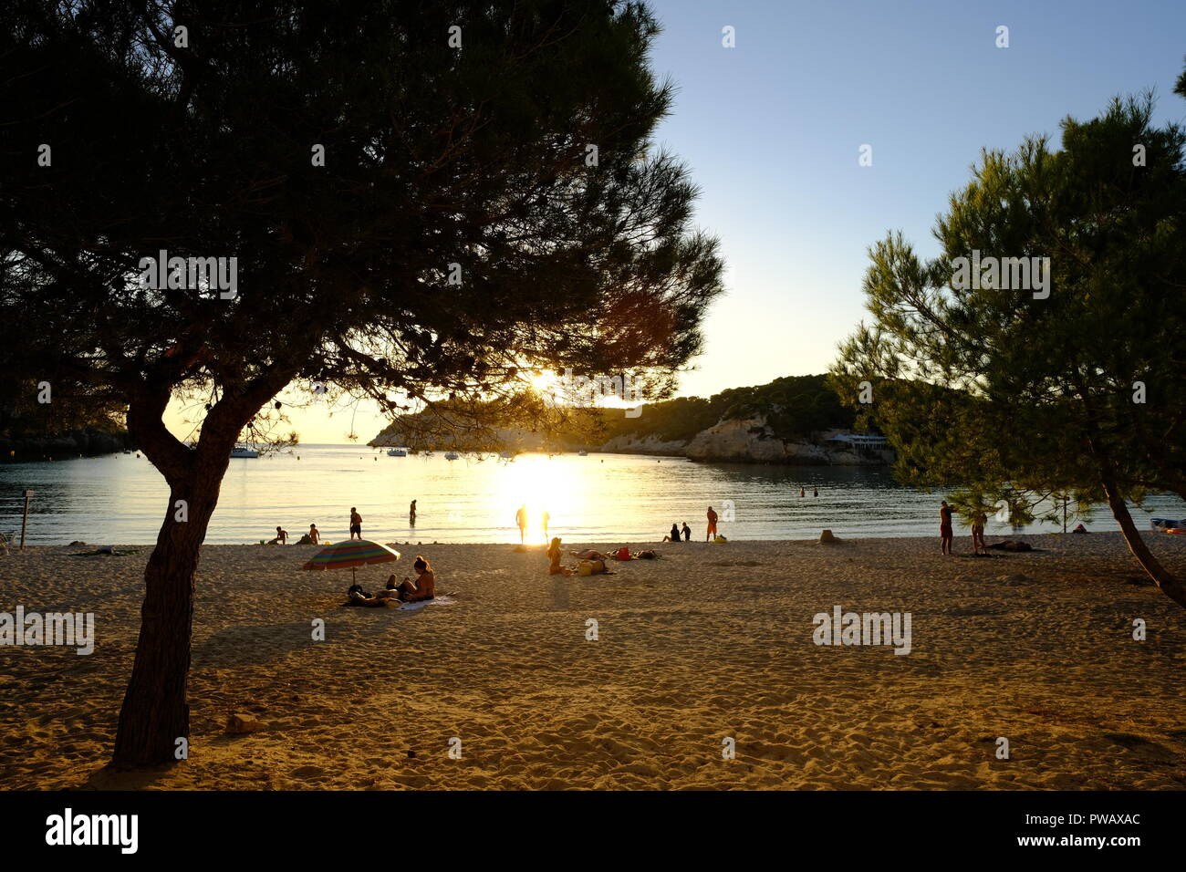 Trees on the beach in silhouette at sunset Cala Galdana Menorca Stock ...