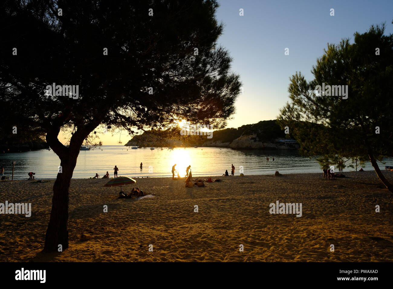 Trees on the beach in silhouette at sunset Cala Galdana Menorca Stock ...