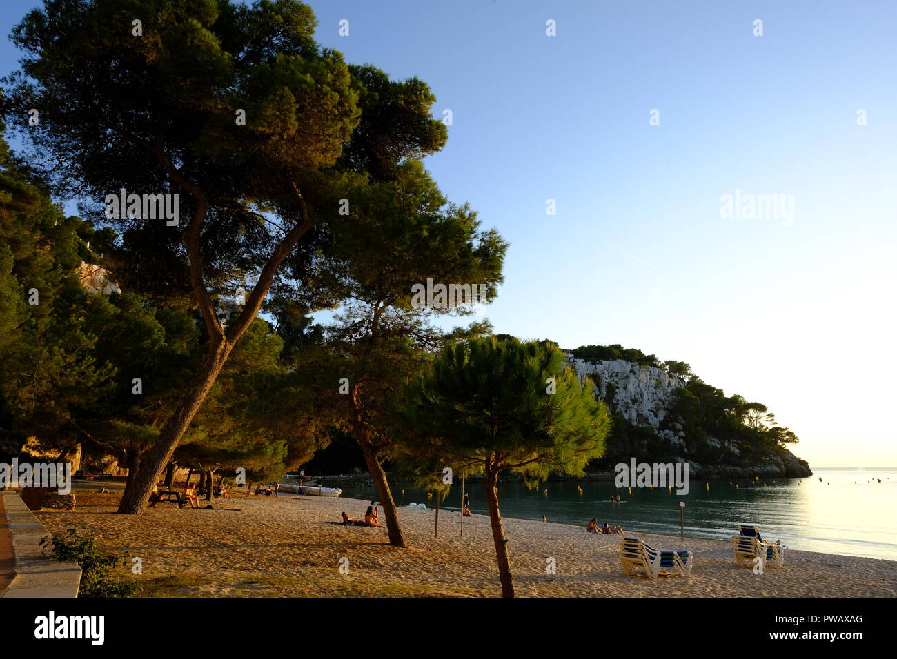 Trees on the beach in silhouette at sunset Cala Galdana Menorca Stock ...