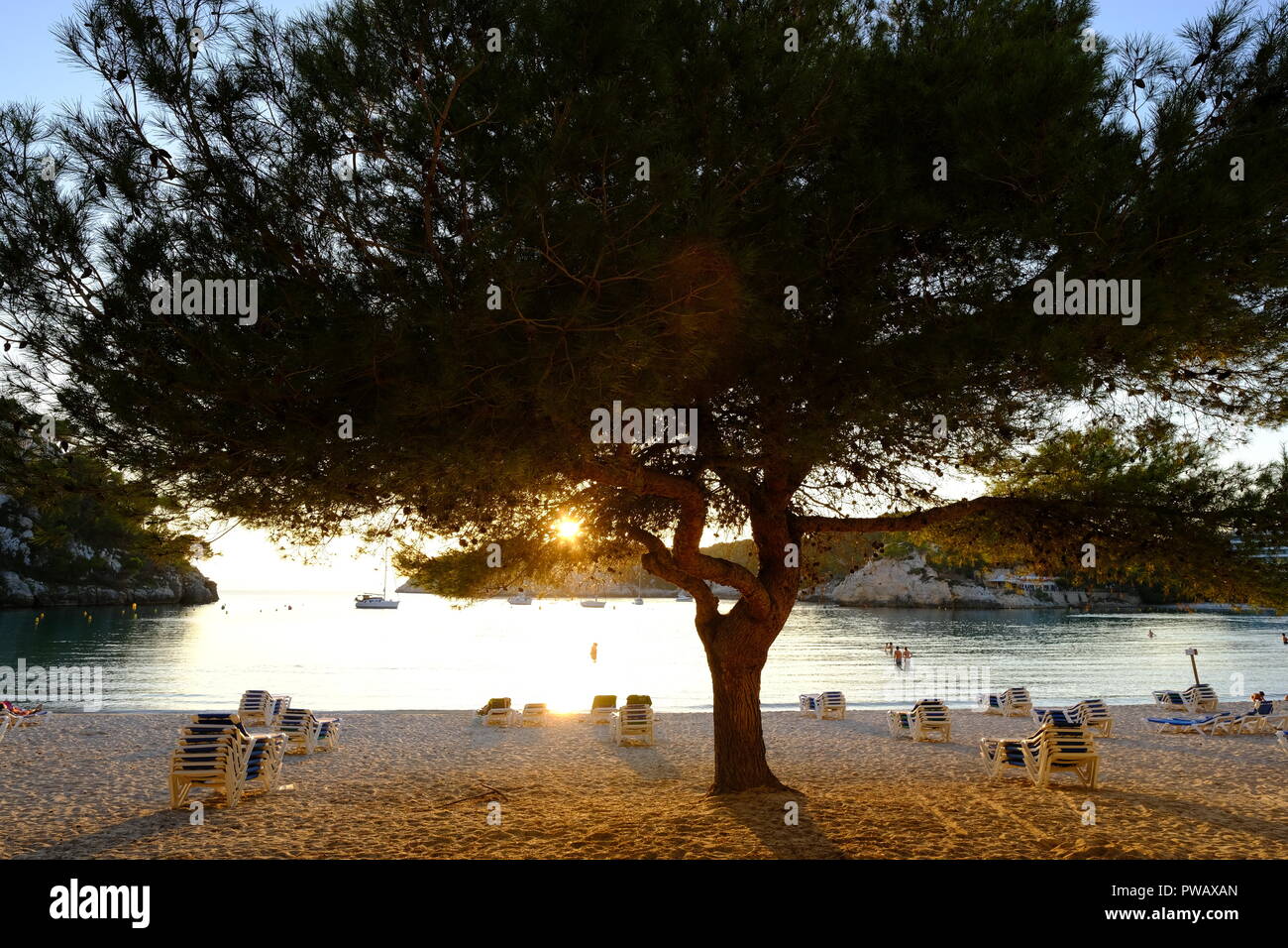 Trees on the beach in silhouette at sunset Cala Galdana Menorca Stock ...