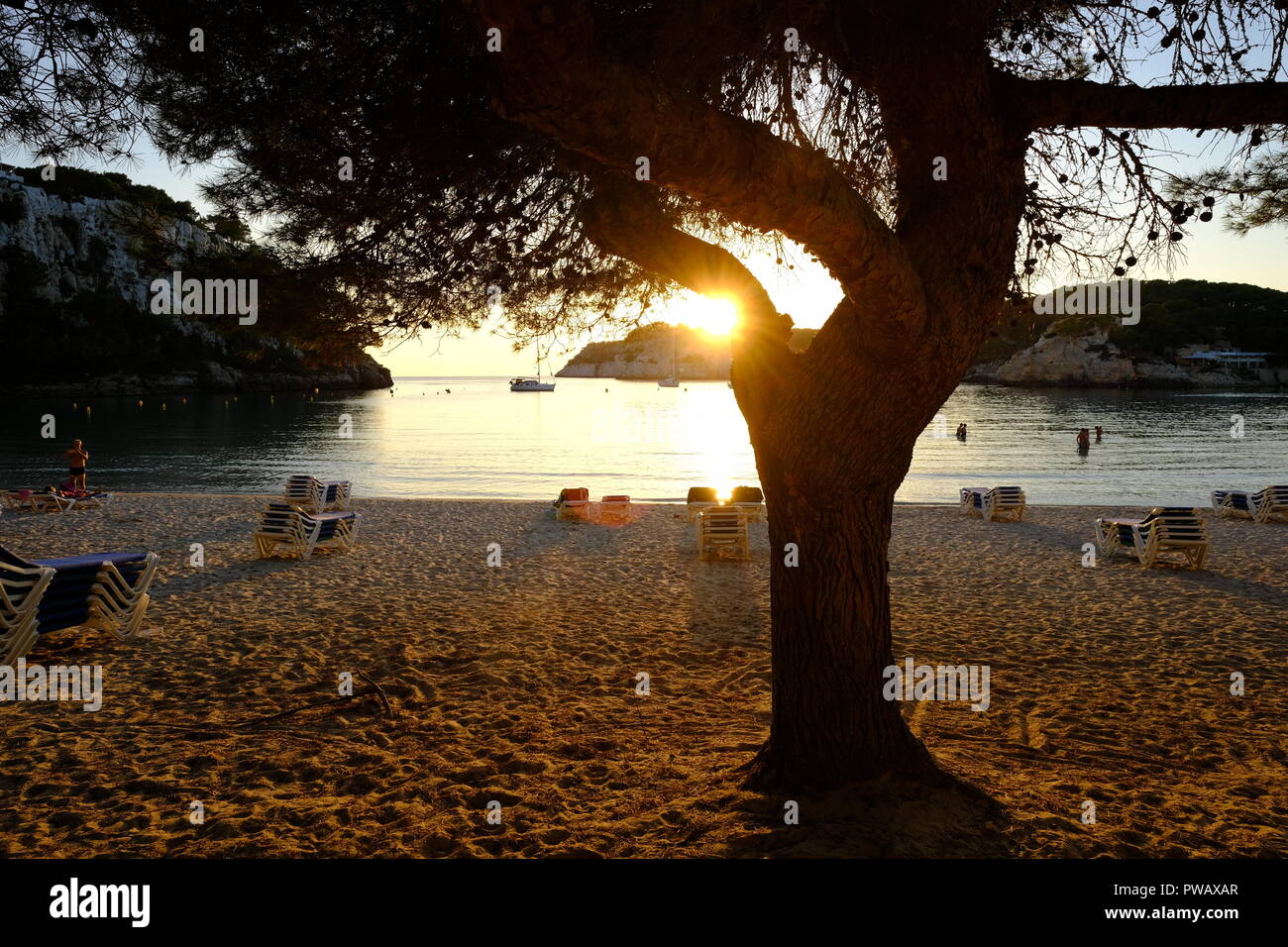 Trees on the beach in silhouette at sunset Cala Galdana Menorca Stock ...