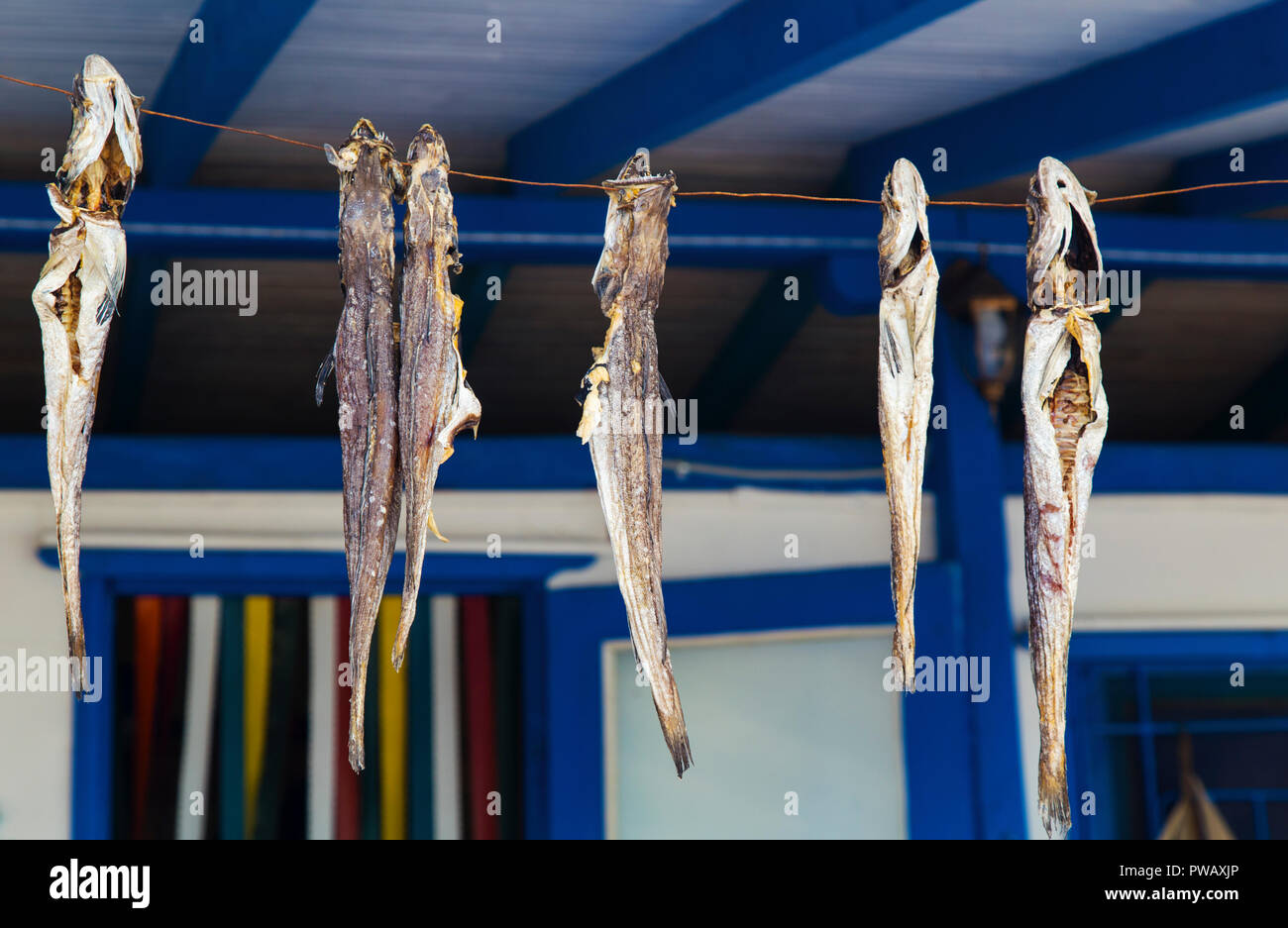 Stockfish is preserved by drying fish hi-res stock photography and ...