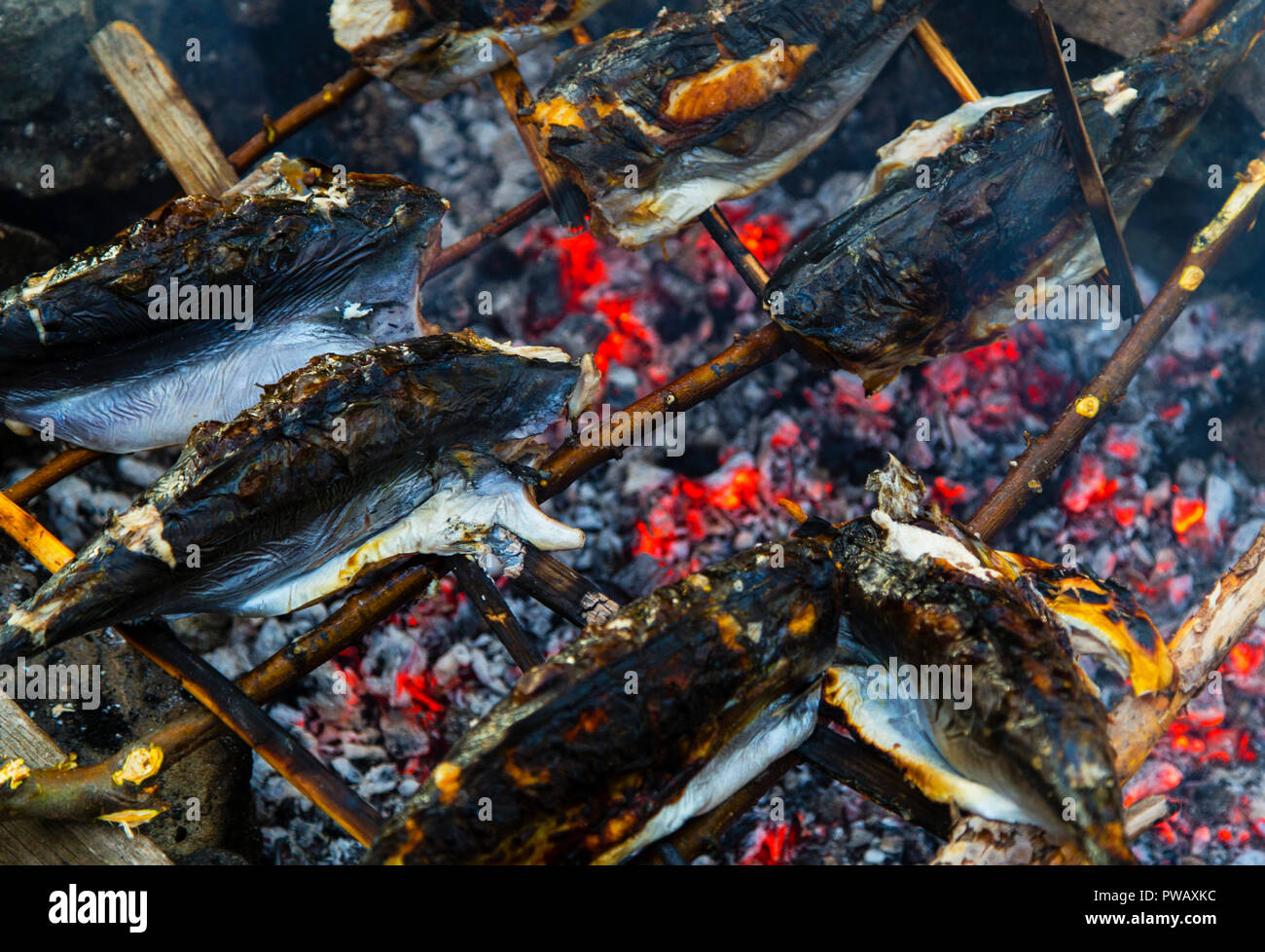 Roasting fish on fire hi-res stock photography and images - Alamy