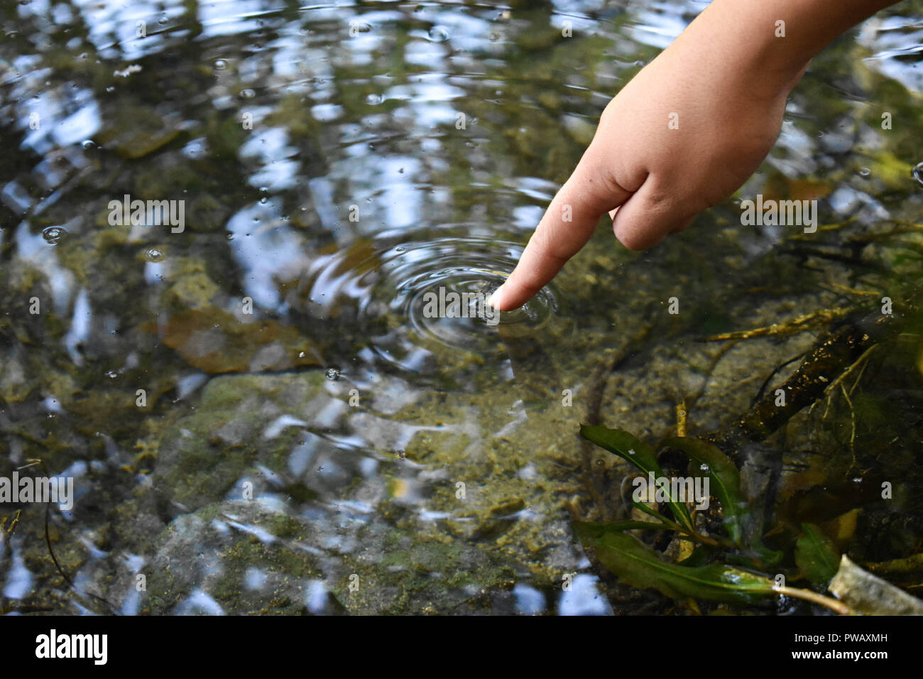Close up finger touches water and drop of water falling and creating ...