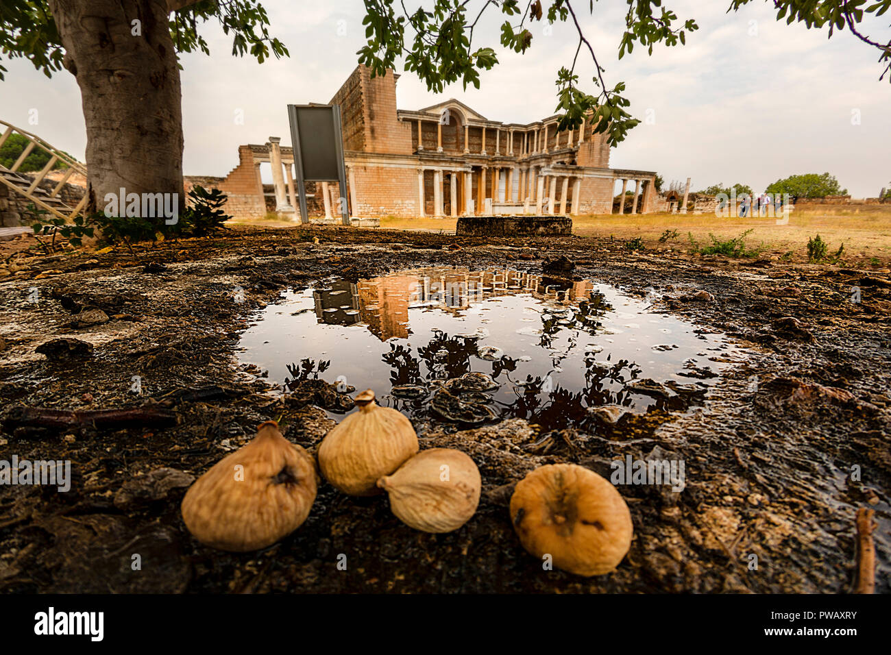 Salihli hi-res stock photography and images - Alamy