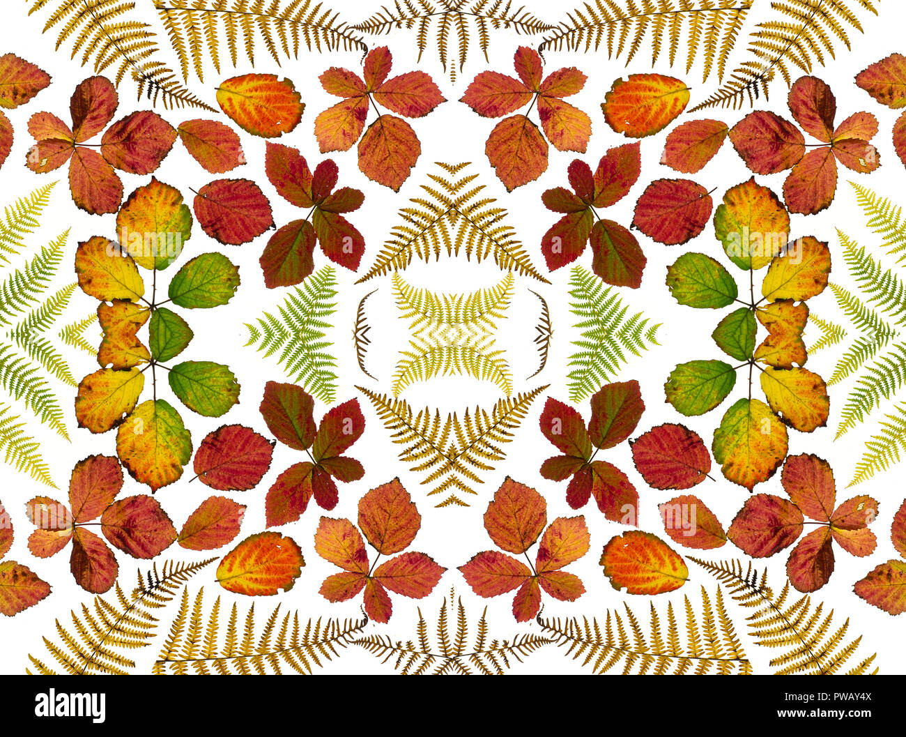 Designing colour hi-res stock photography and images - Alamy