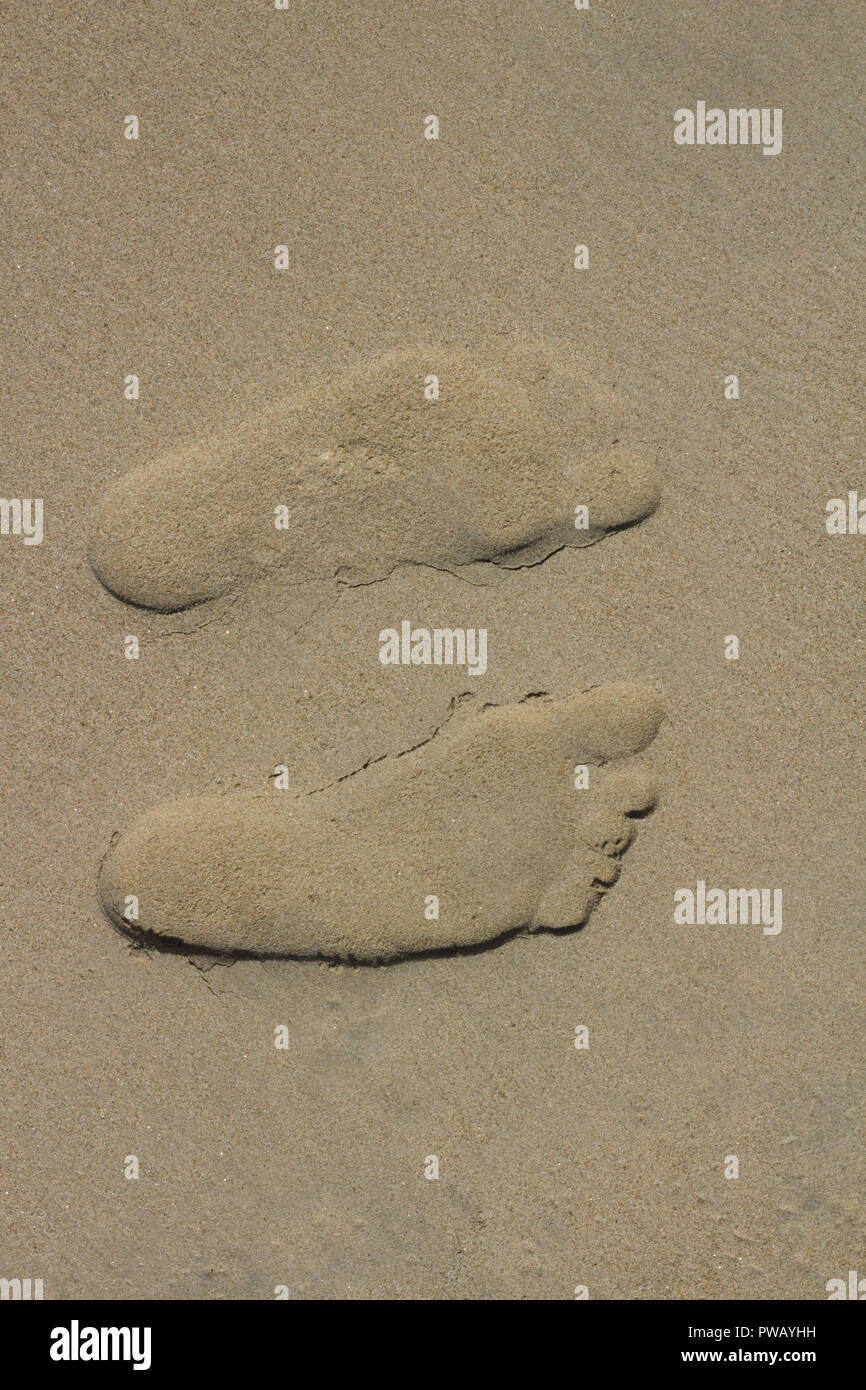 texture of footprints in the sand on the beach at sunset time Stock ...