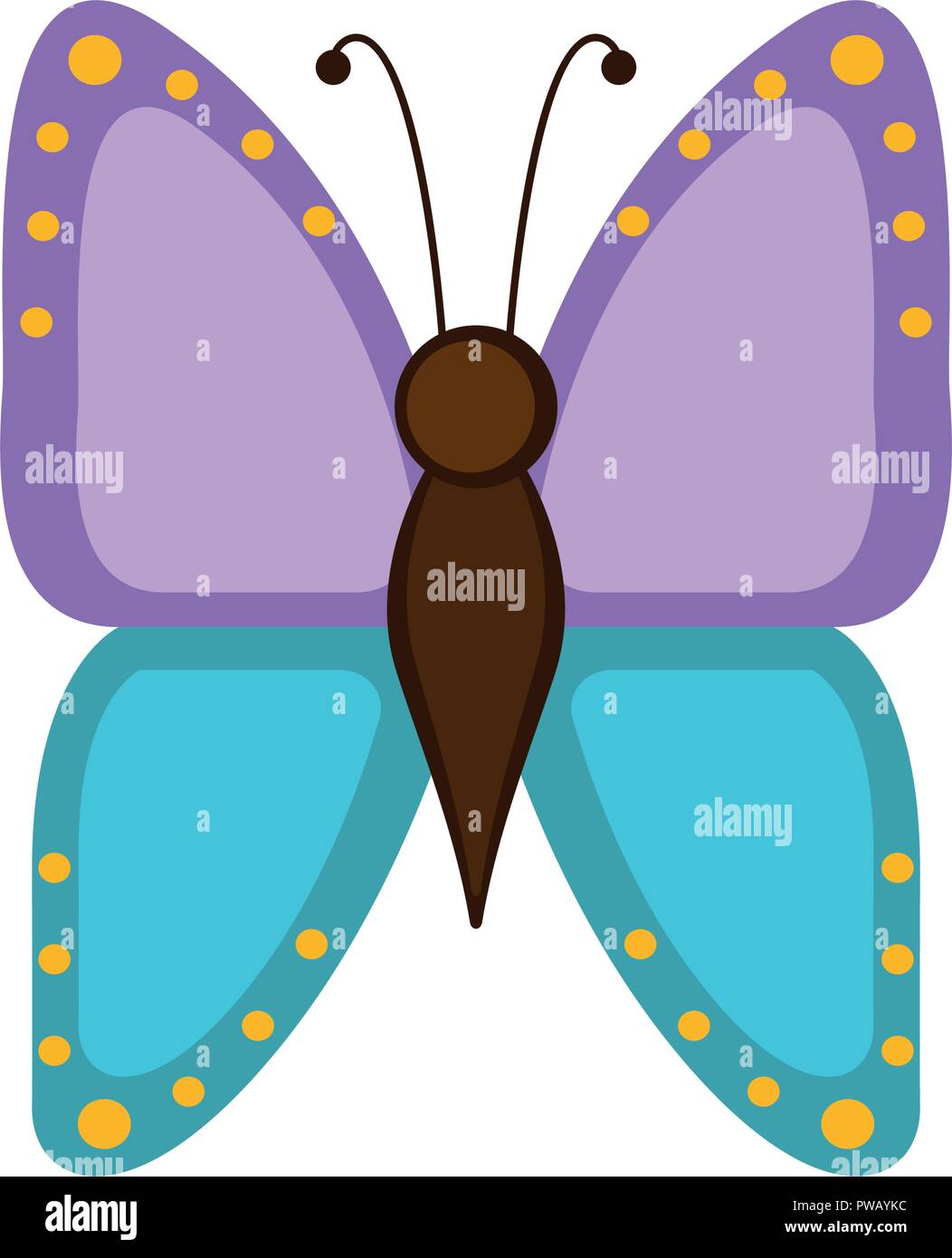 Isolated cute butterfly icon Stock Vector Image & Art - Alamy