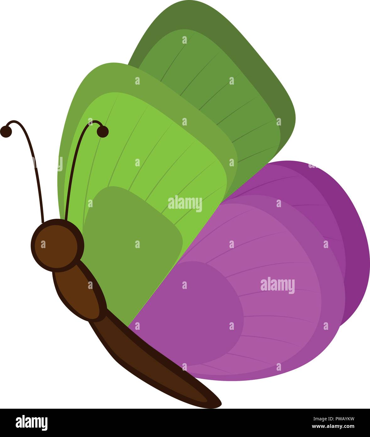 Isolated cute butterfly icon Stock Vector Image & Art - Alamy