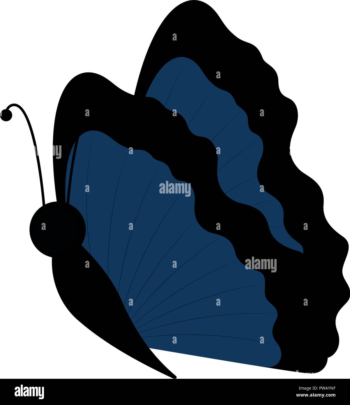 Isolated cute butterfly icon Stock Vector Image & Art - Alamy