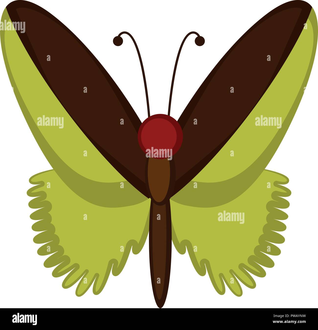 Isolated cute butterfly icon Stock Vector Image & Art - Alamy