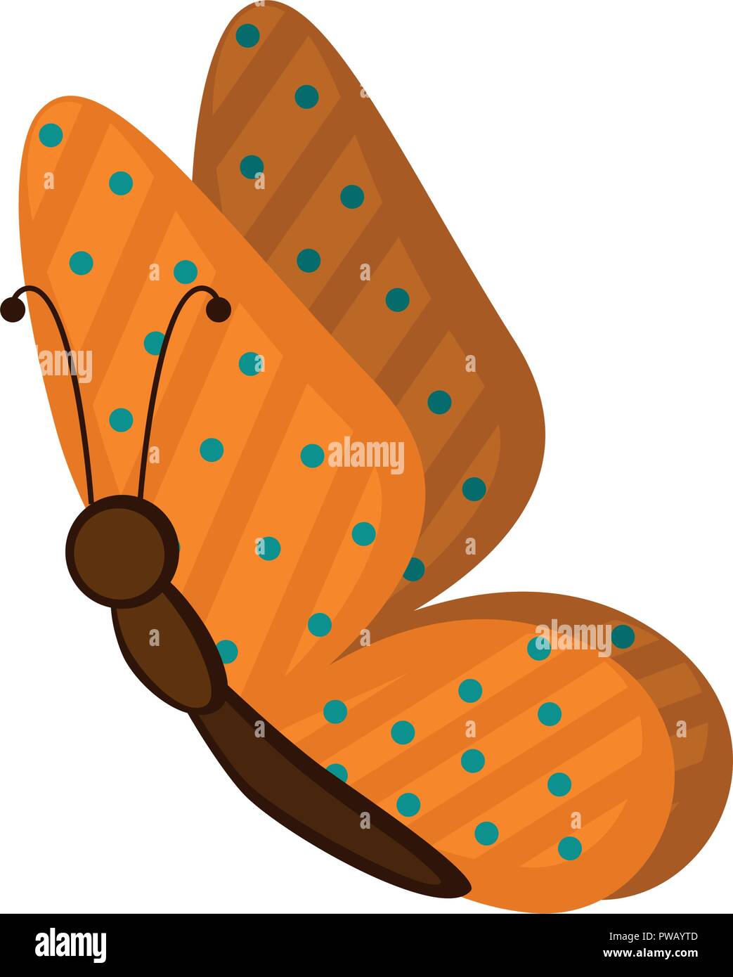 Isolated cute butterfly icon Stock Vector Image & Art - Alamy