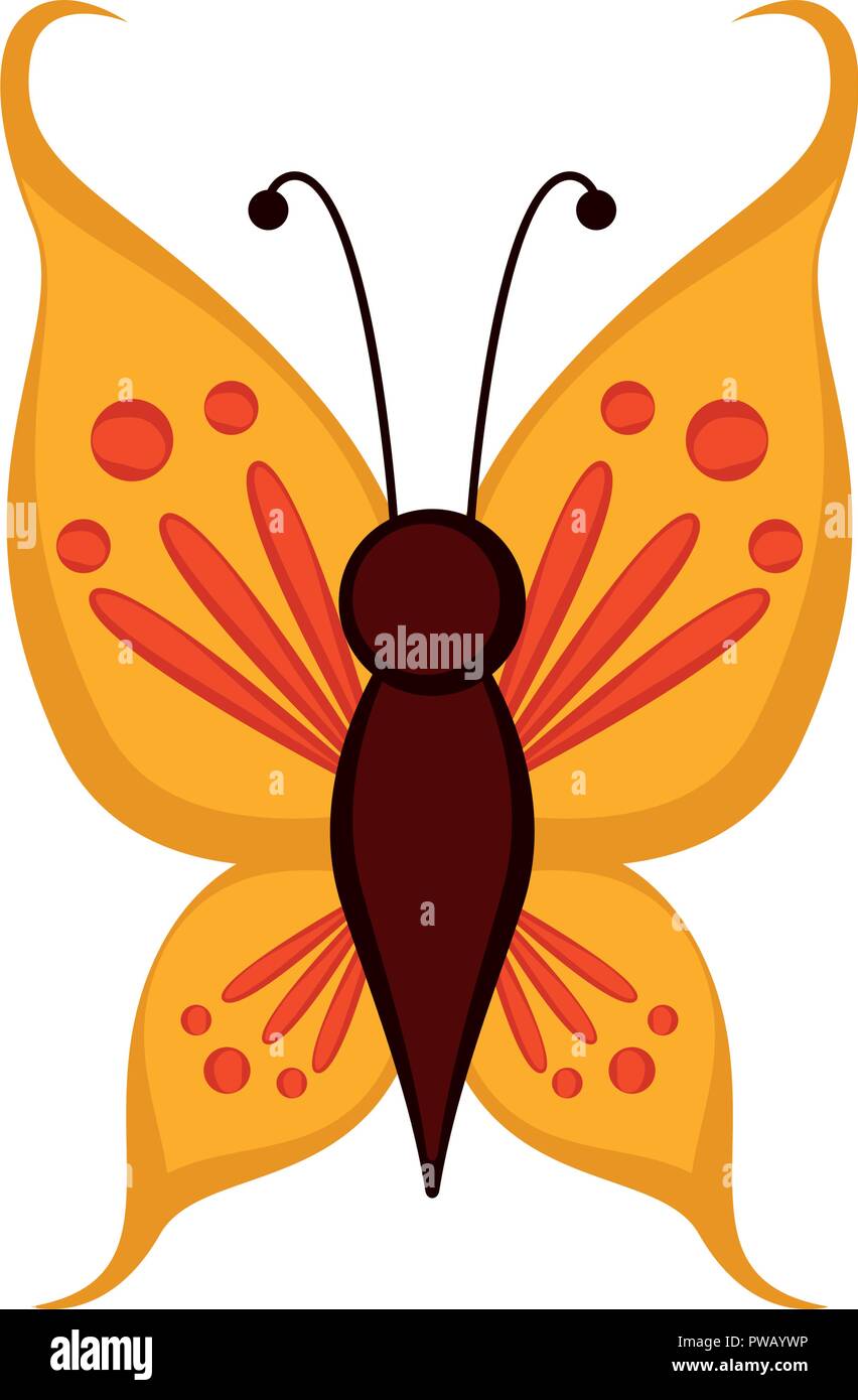 Isolated cute butterfly icon Stock Vector Image & Art - Alamy