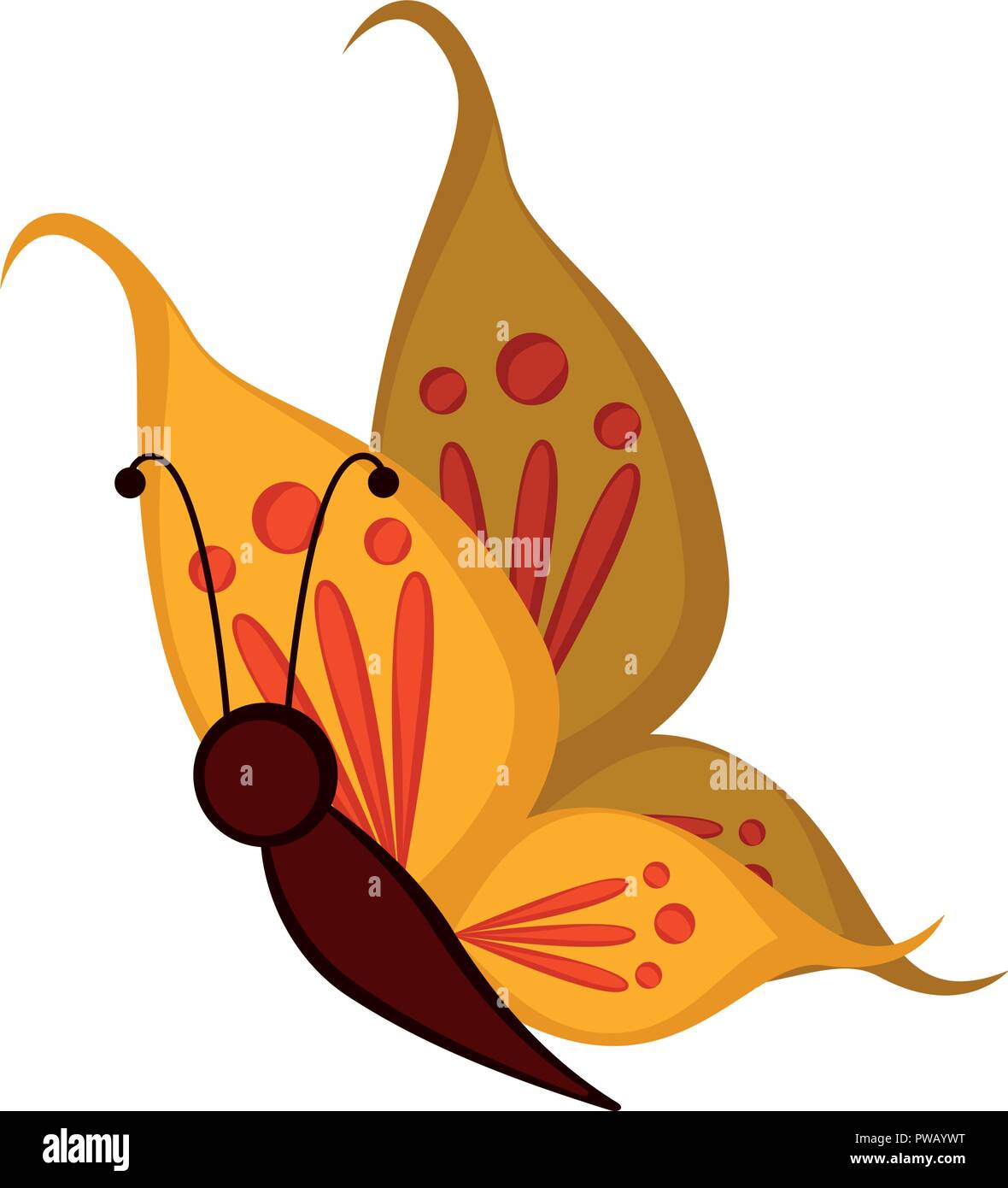 Isolated cute butterfly icon Stock Vector Image & Art - Alamy