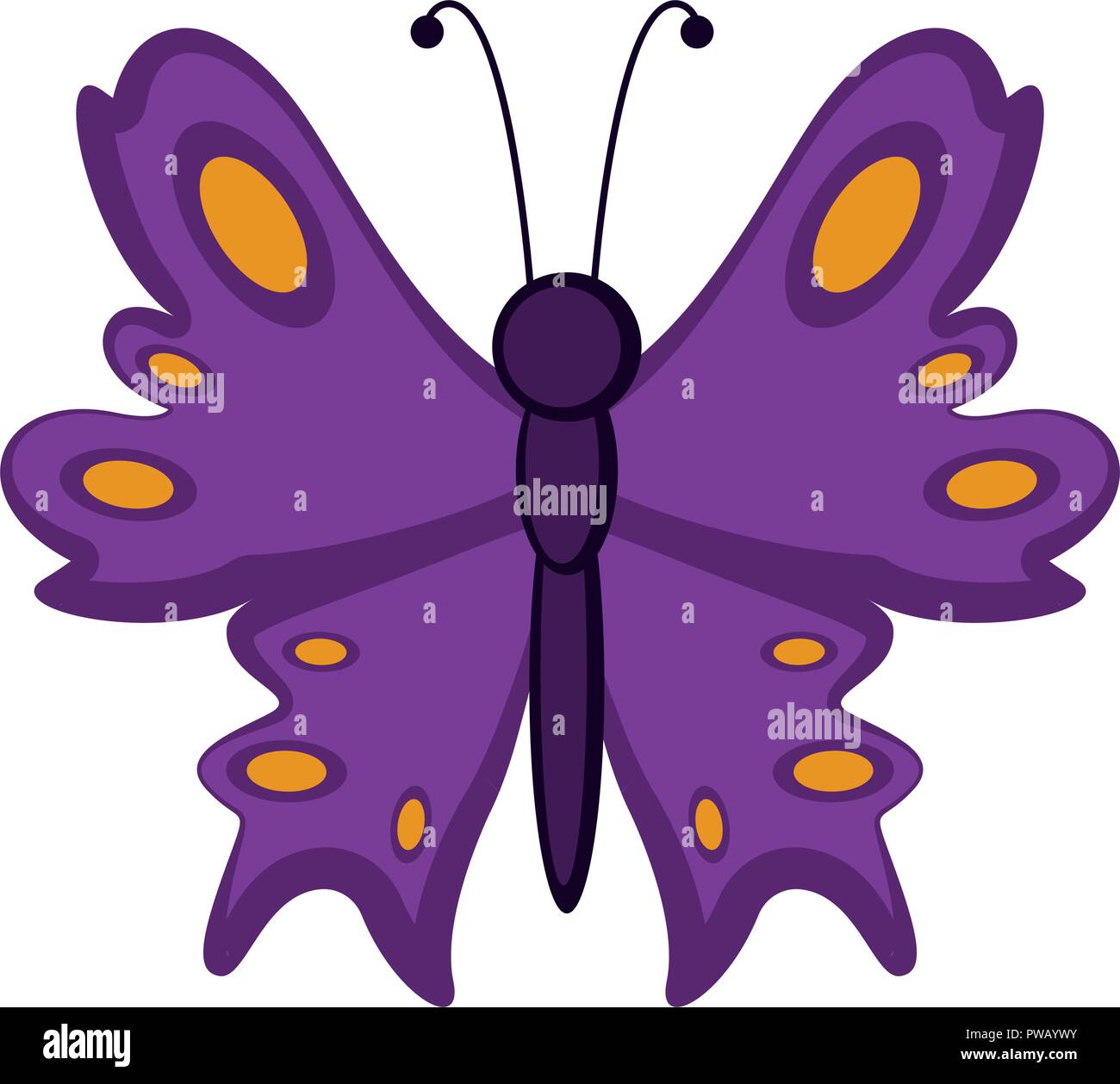Isolated cute butterfly icon Stock Vector Image & Art - Alamy
