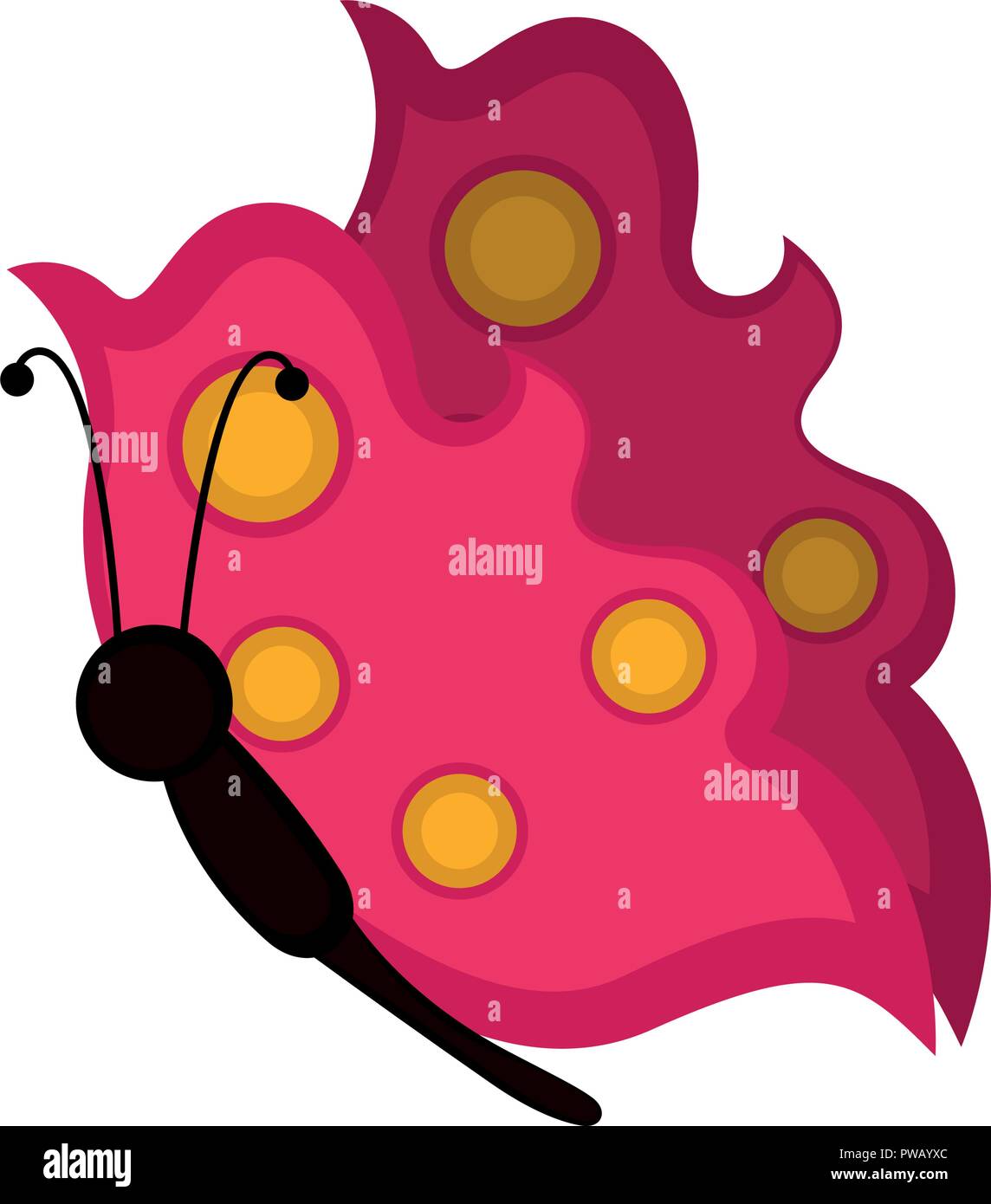 Isolated cute butterfly icon Stock Vector Image & Art - Alamy