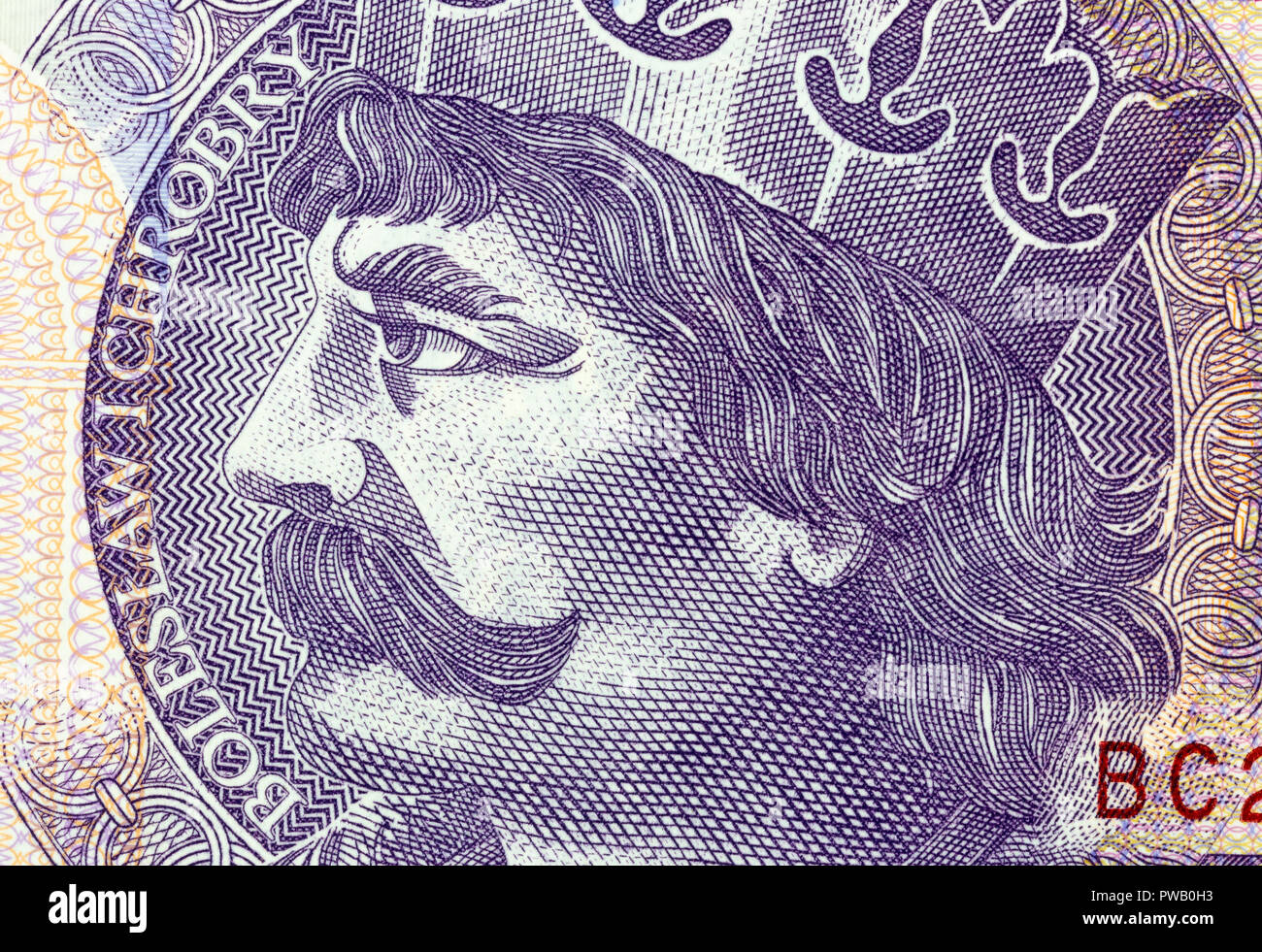 Polish currency money bill twenty zloty. Macro crop portrait of first ...