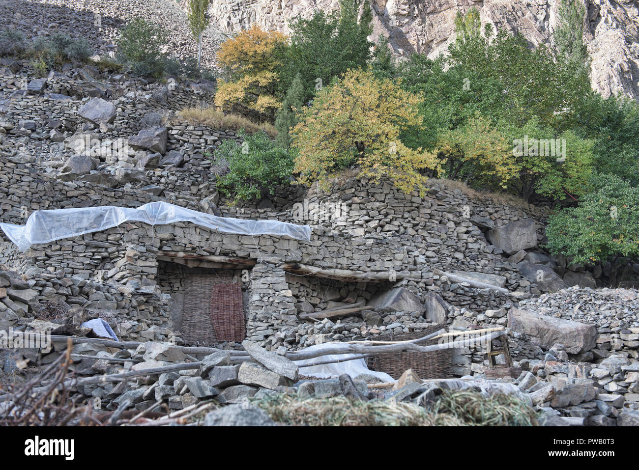 Stone bunkers are used as cold storage "freezers" for perishable foods ...