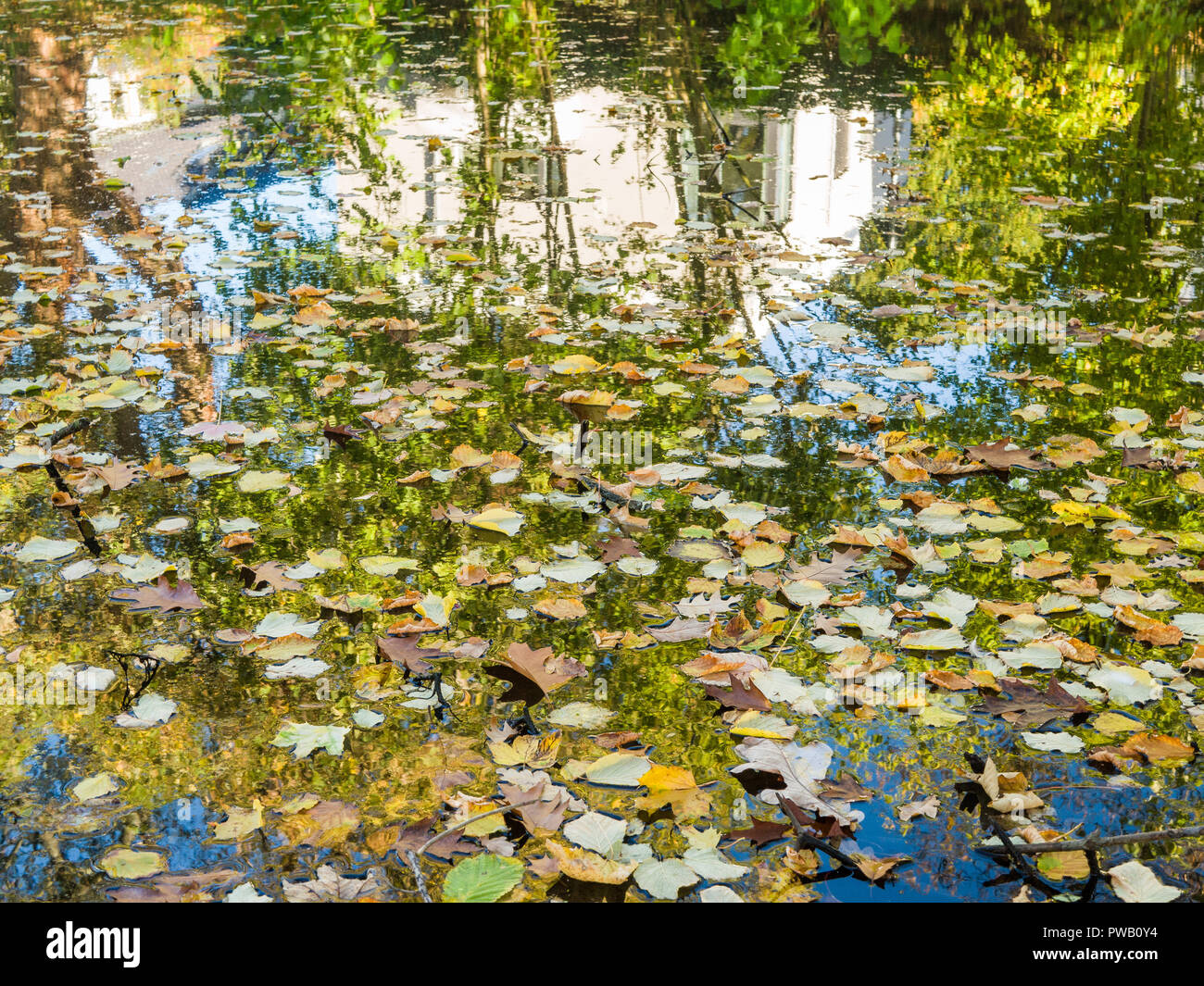 The water surface of a lake hi-res stock photography and images - Alamy