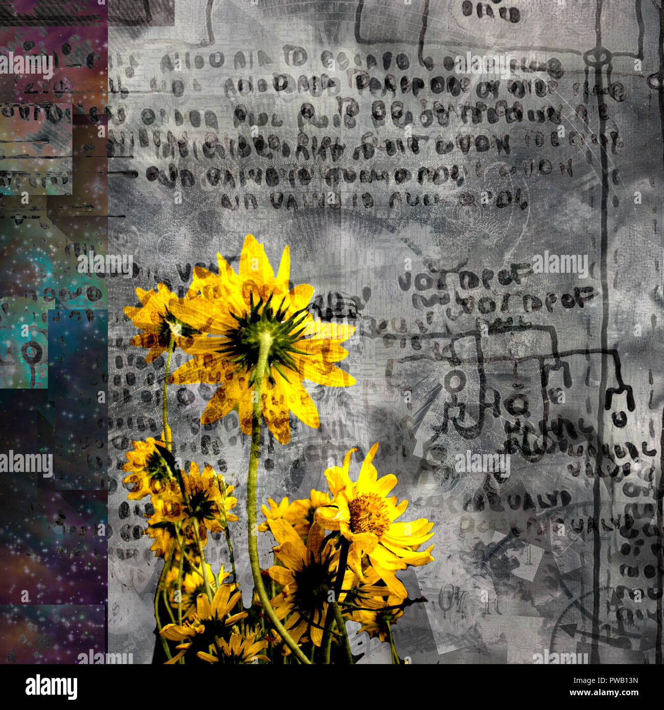 Yellow flowers on abstract background Stock Photo - Alamy