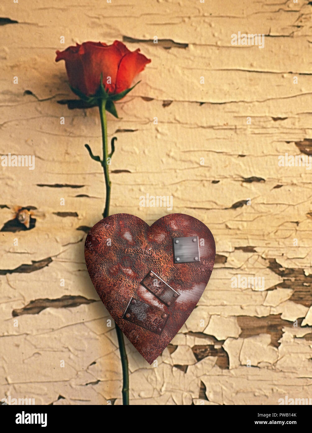 Surrealism. Red love rose and rusted heart with metal patches Stock ...