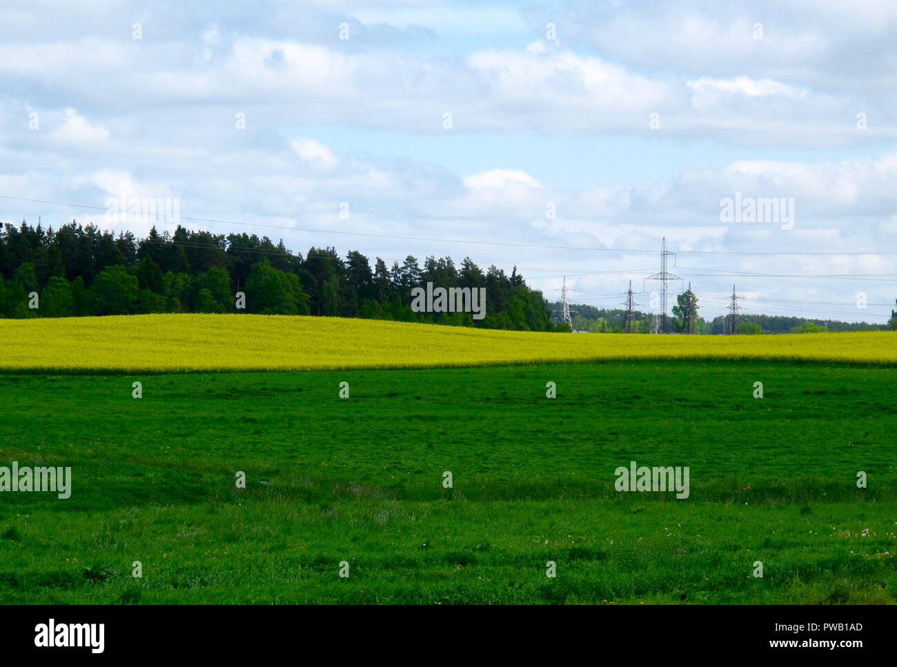 Wonderful meadow hi-res stock photography and images - Alamy
