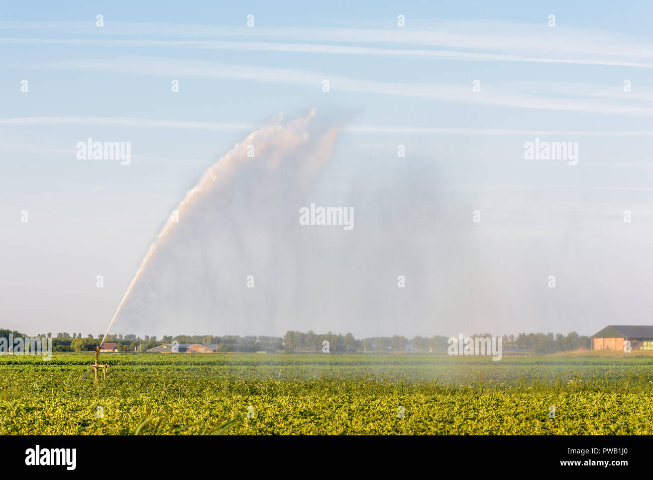 A sprinkler is spraying farmland in the Netherlands during a period of ...