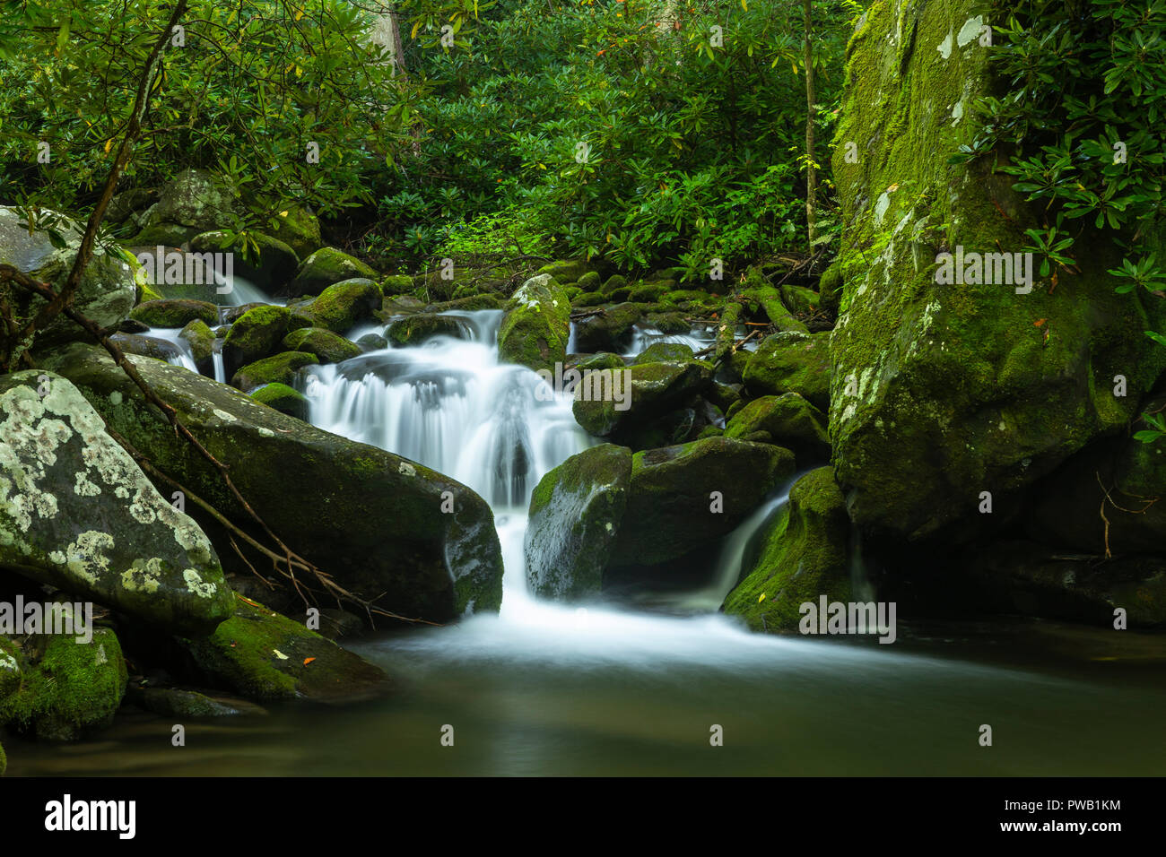 Roaring creek hi-res stock photography and images - Alamy