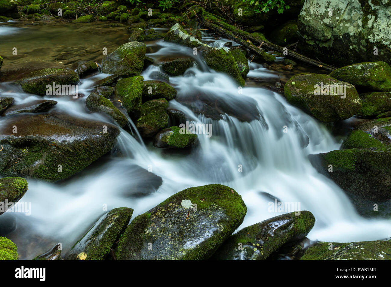 Roaring rock hi-res stock photography and images - Alamy